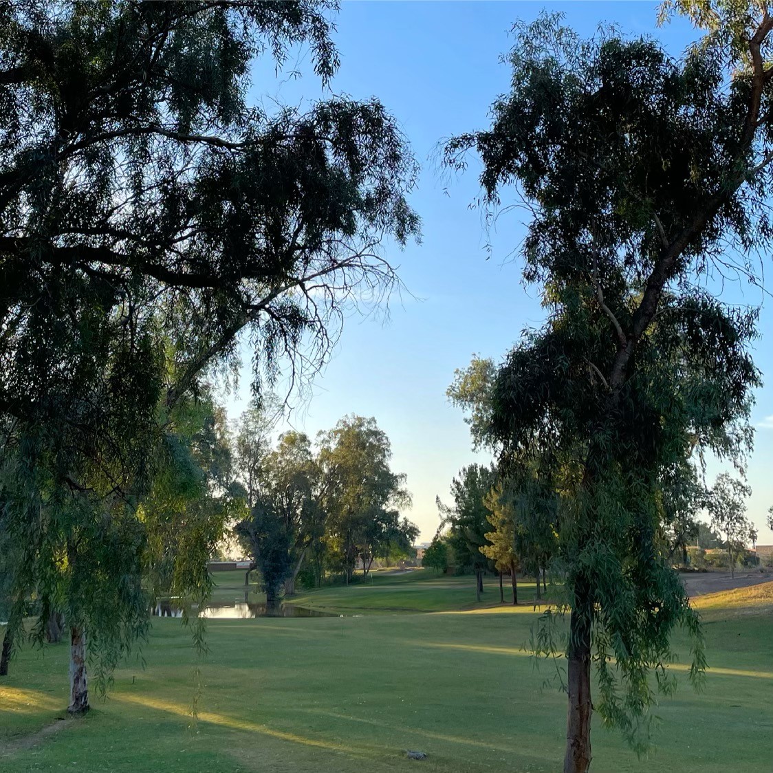 Photo Gallery - Stripe Show Golf Club